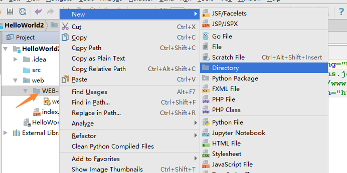 在idea（汉化后的idea）中创建jsp项目 （java开发工具 Intellij Idea（idea使用教程，手把手教学）内容很全，一篇管够！！！） 编程库