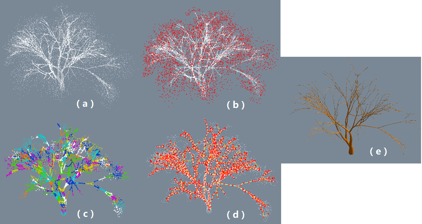 [opengl]基于点云的植物建模 Knowledge And Heuristic Based Modeling Of Laser Sc Csdn博客
