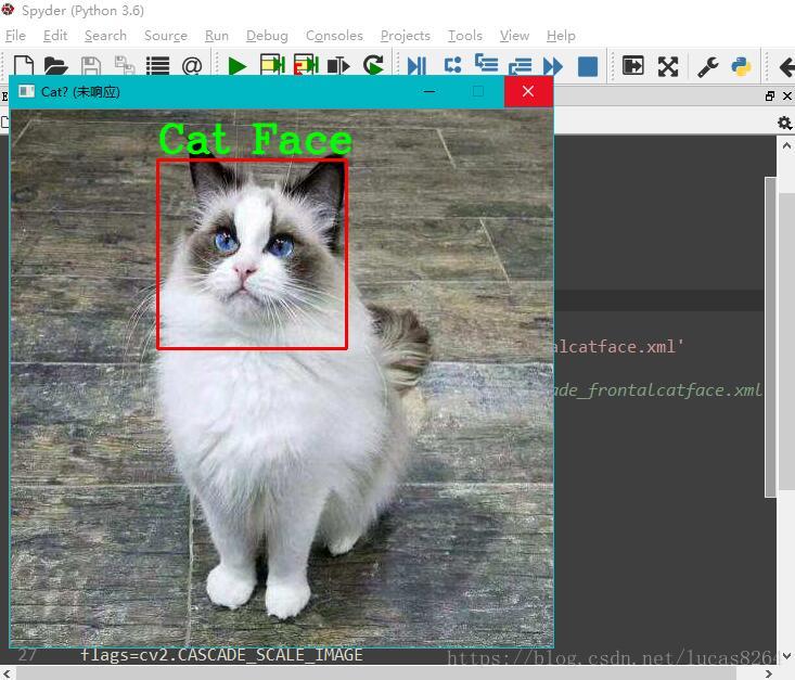 基于opencv Python猫脸识别（一）lucas8264的博客 Csdn博客