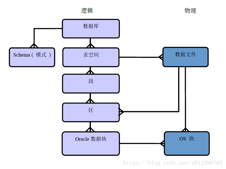 数据库逻辑结构 Csdn博客 