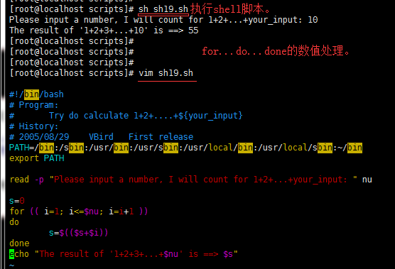 Linux Basic13学习shell Scriptshell Script是利用填空 1的功能所写的一个 程序”。这个程序使用纯文本文档将 Csdn博客