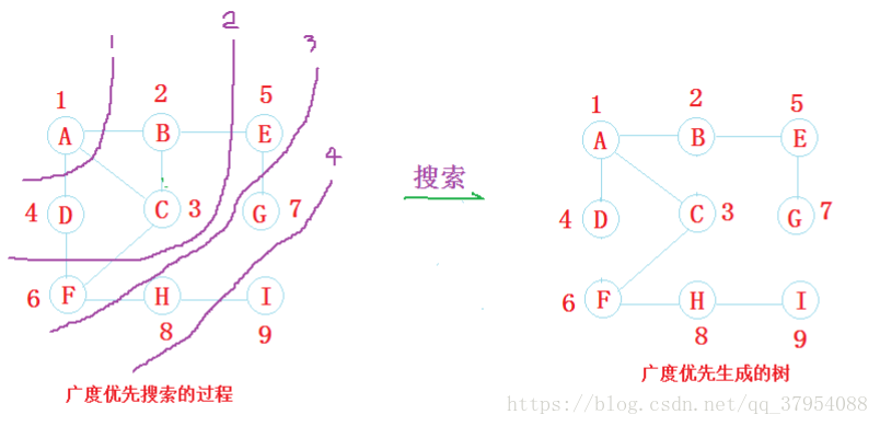图的广度优先遍历和深度优先遍历图的广度优先遍历邻接表vector存储 Csdn博客 