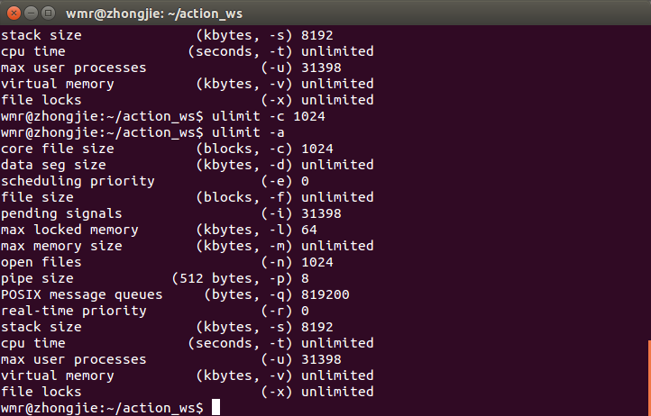 Segmentation Fault Core Dumped：分割故障（核心转储）问题定位stdexception Segmentation Fault Core Dumped