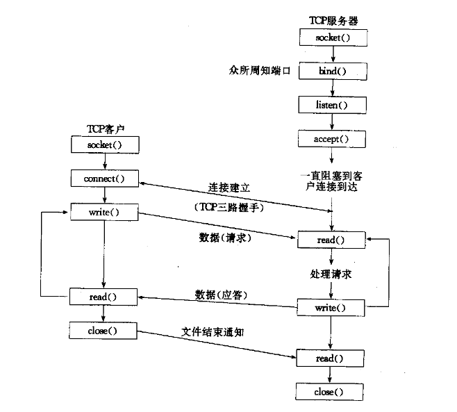 计算机网络 Socket套接字编程socket套接字计算机网络 Csdn博客