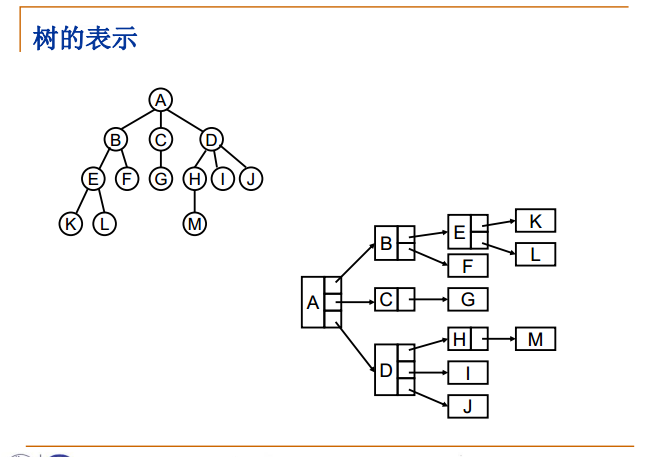 树的定义、表示和二叉树及存储结构二叉树的表达maxbay的博客 Csdn博客 4251