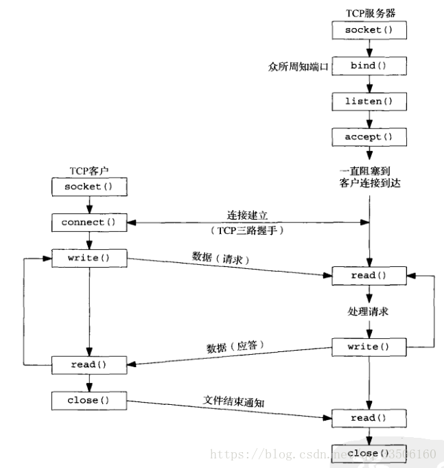 Socket套接字编程（tcp基本编程） Csdn博客 