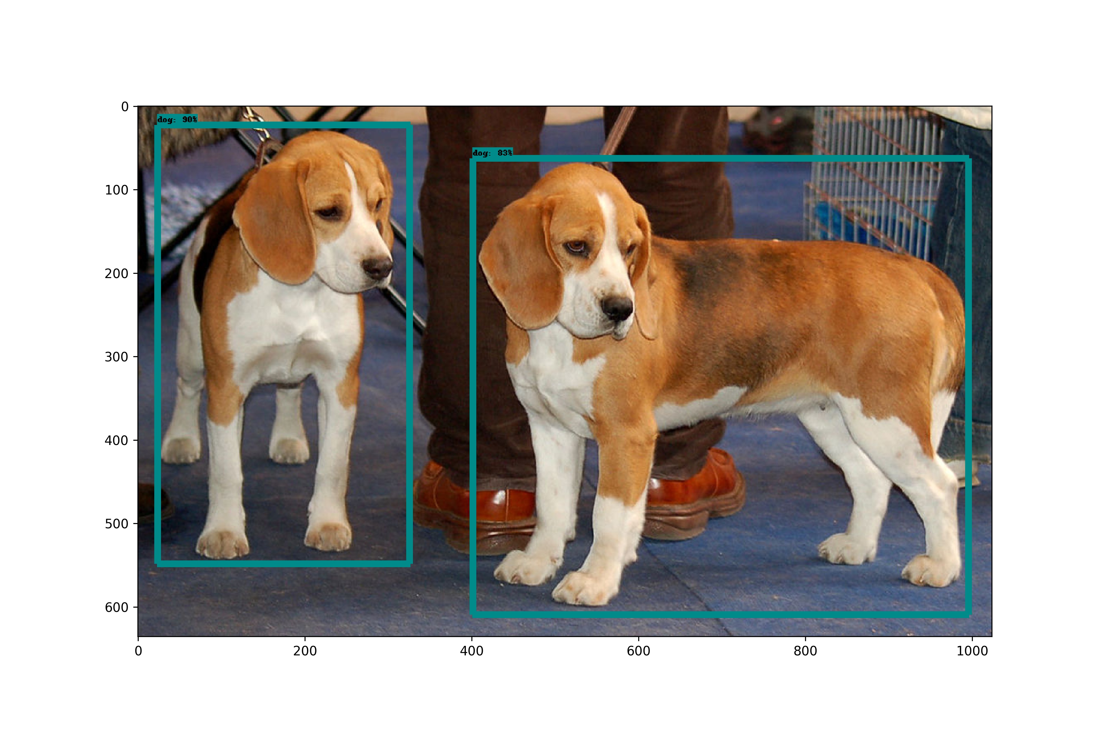 Tensorflow Objectctdetectiontutorial 对象检测演示c Tensorflow Objectdetection Csdn博客 