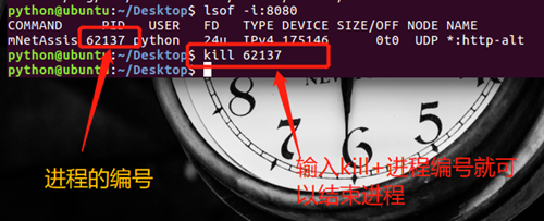 Address Already In Use 端口占用的错误oserror：【error 19】address Already In Use Csdn博客 
