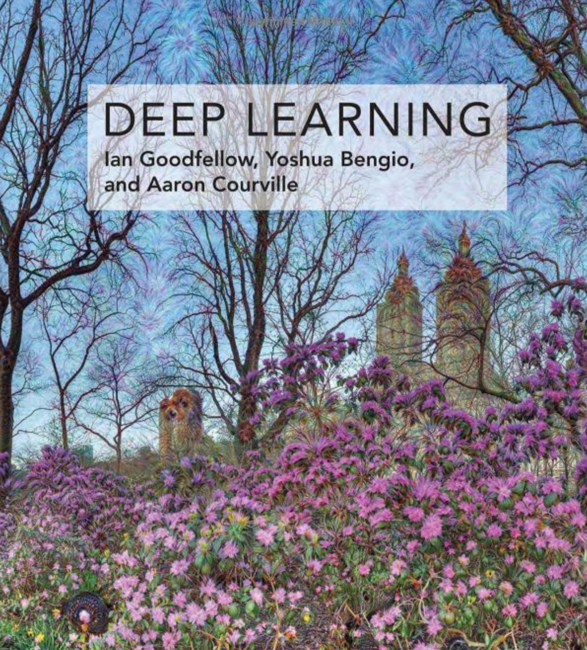花书《deep Learning》学习笔记convolutional Networks 卷积神经网络deeplearning 花书 卷积神经网络 Csdn博客 7862