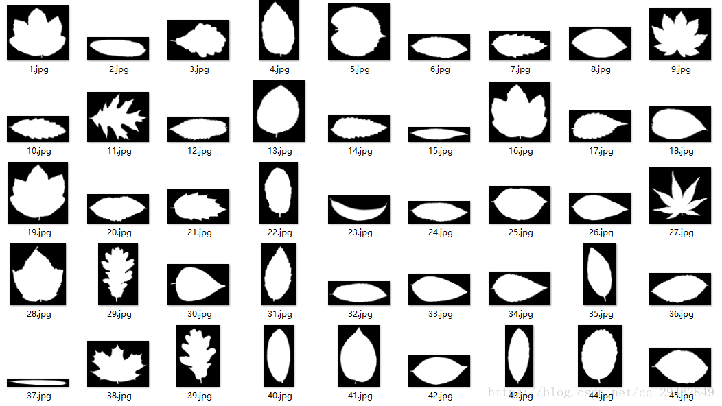Kaggle实战之leaf Classification（树叶分类）kaggle 叶子分类 Csdn博客 