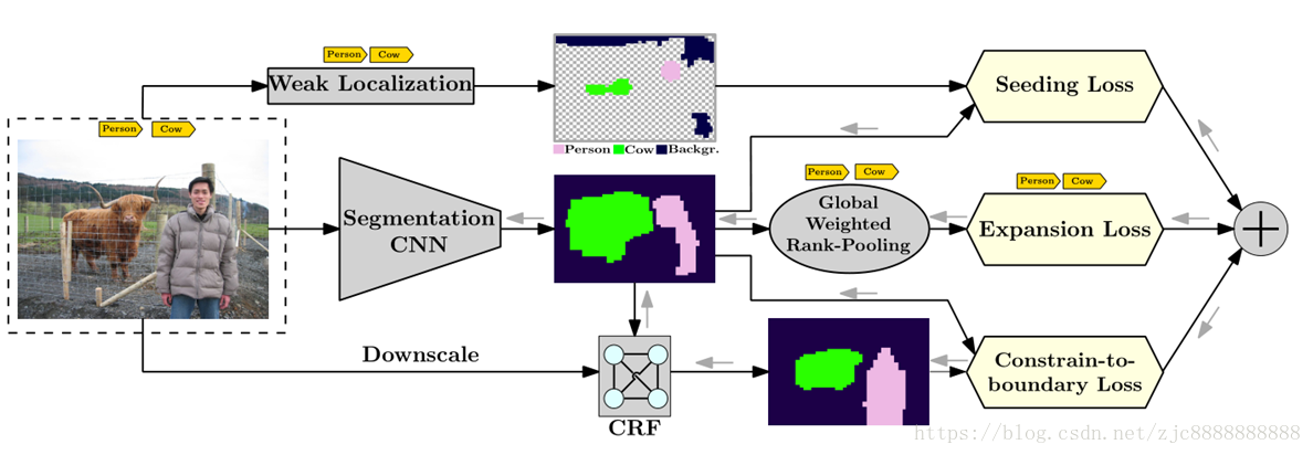 Seed Expand And Constrain Three Principles For Weakly Supervised Image Segmentation 论文笔记 Csdn博客 