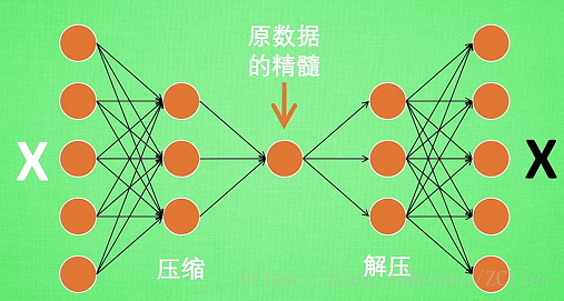 Pytorch （莫烦）中 为什么莫烦python4 3的self Out Torch Nn Linear 64 10 输出为1 Csdn博客