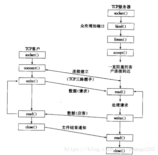 （一）tcp客户端服务器通信 基础函数篇协议族名和服务器端口的函数是什么 Csdn博客