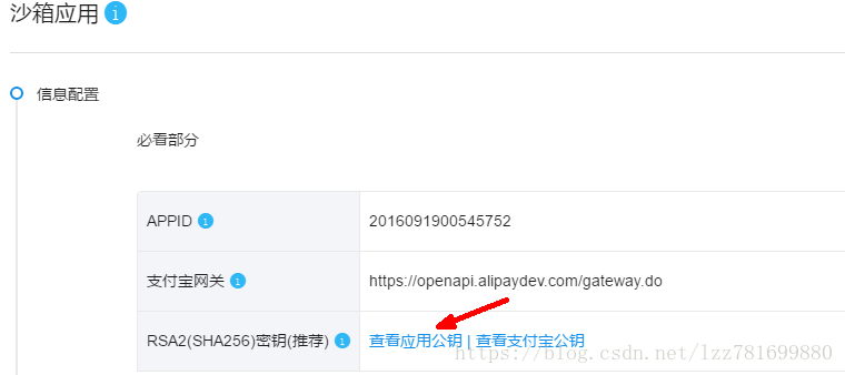 使用支付宝沙箱演示支付宝支付支付宝沙盒演示 Csdn博客 