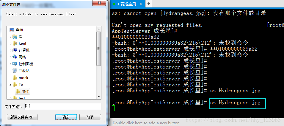 Xshell如何传输文件直接把文件传到xshell Csdn博客 