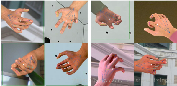 Hand Pose Datasets Hands With Manual Keypoint Annotations解释这个数据集标签格式 Csdn博客