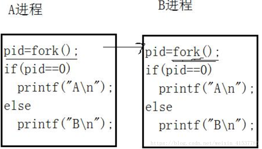 Fork详解 Csdn博客 
