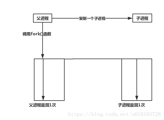 Linux进程的基本操作：fork Vfork Exec一只大笨猫的博客 Csdn博客 
