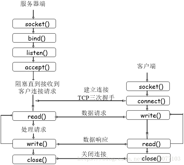 Tcp Socket 编程示例 Tcp协议程序设计 Csdn博客