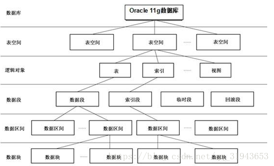 Oracle体系结构和物理结构 填空1 是oracle中最大的逻辑结构所有的对象都要存在于其中它由若干个物理 Csdn博客 