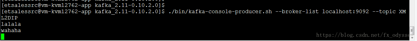 Linux下启动kafka 卡夫卡启动是否正常 Csdn博客